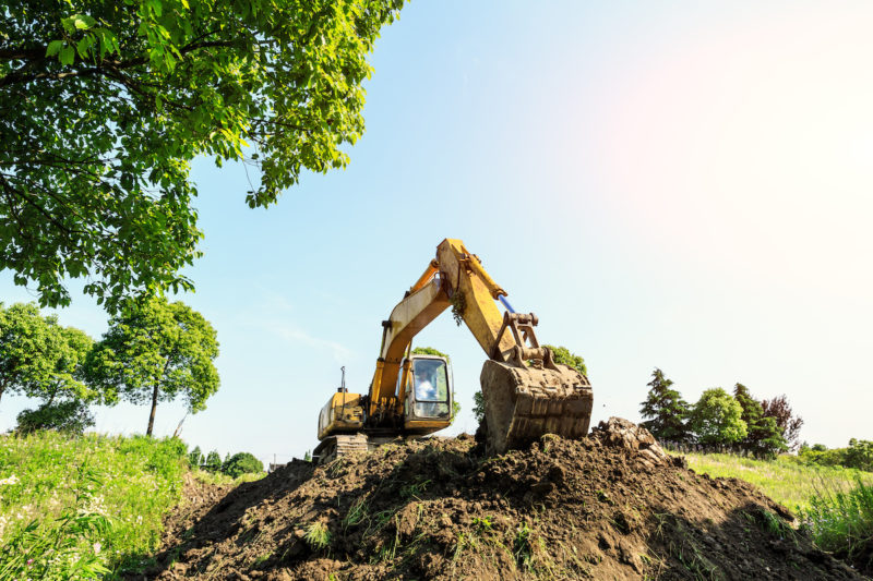 Tree Preservation During Construction Projects | Shannon & Son's Tree ...