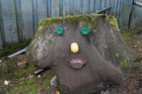 Creative Ways to Hide Tree Stumps in Your Front Yard | Shannon & Son's ...